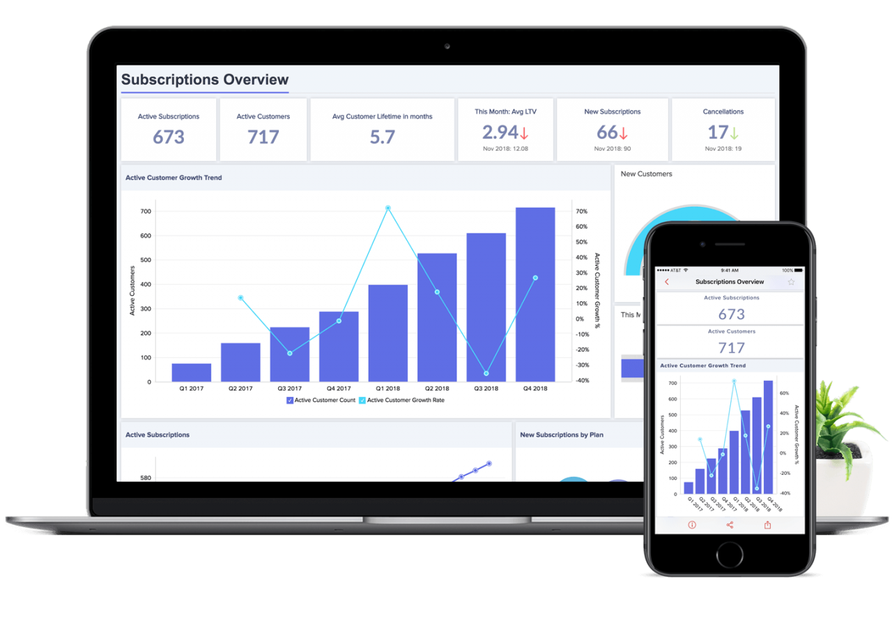 Executive Dashboards | Data Interactive Automated Analytics
